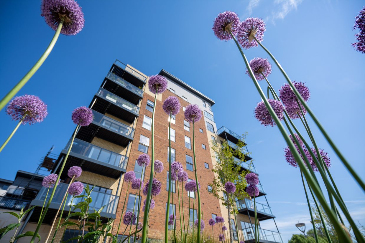 A leading housing provider who provide good value homes | Orbit